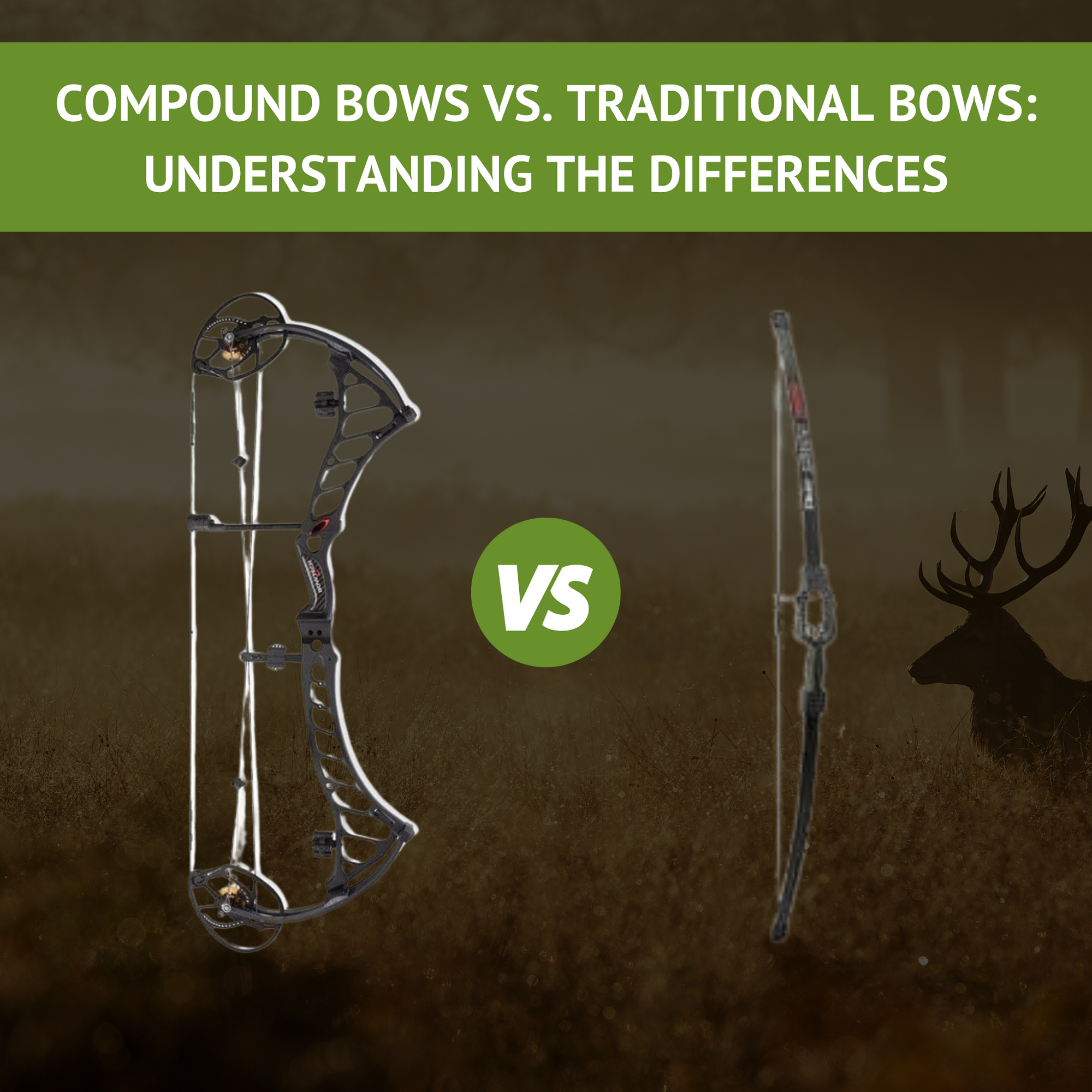 Compound Bows vs. Traditional Bows: Understanding the Differences ...